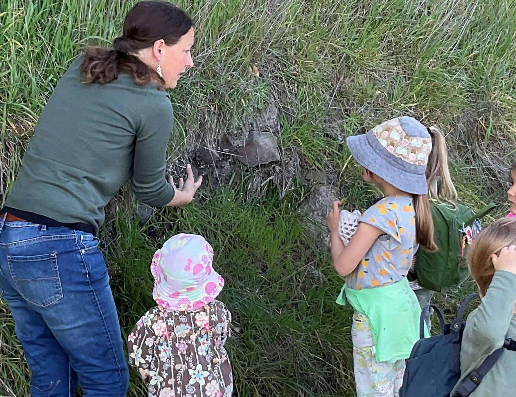 Discover Awesome School History In Akaroa For Ages 1-100!